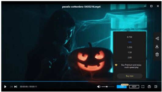 Which Is The Best Video Player In 2022?