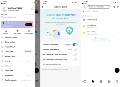 Sarah's Story: Simplifying Photo Sharing And Management With TeraBox