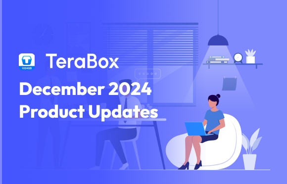 What Is TeraBox?